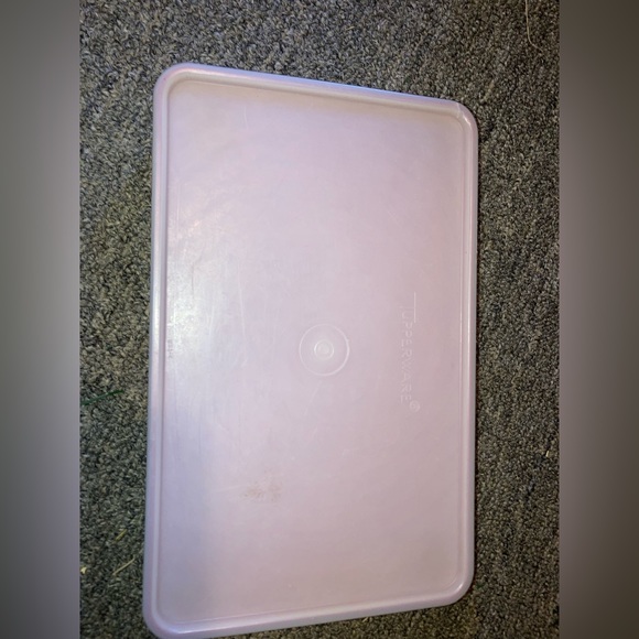 Tupperware | Kitchen | Tupperware Hot Dog Bacon Keeper Meat Tenderizer ...